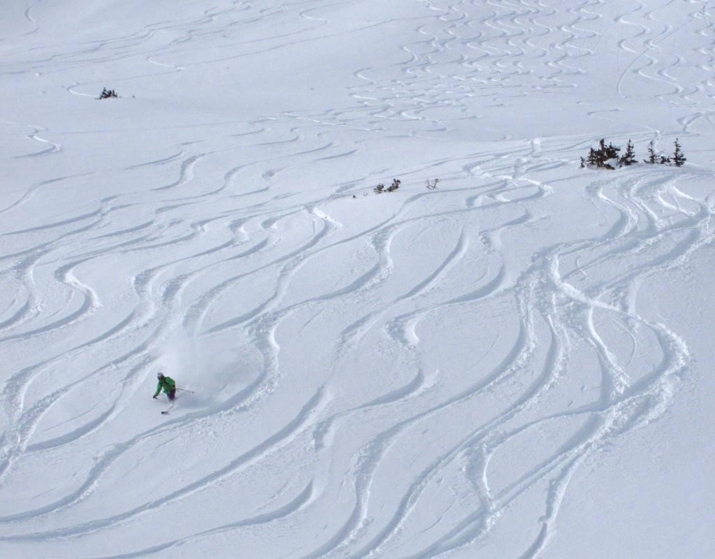 Services - High Altitude Property Management